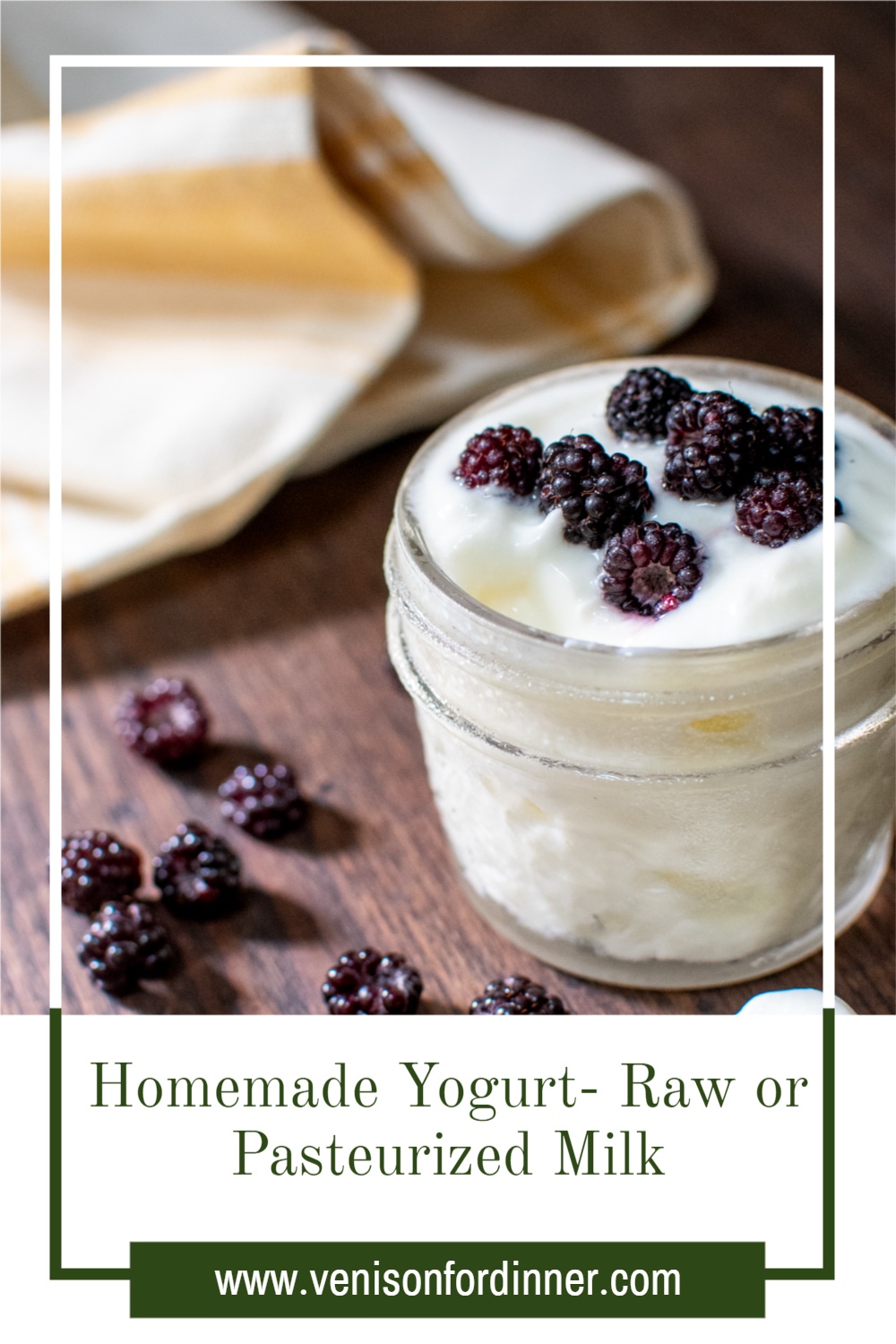 DIY Homemade Yogurt - Venison for Dinner