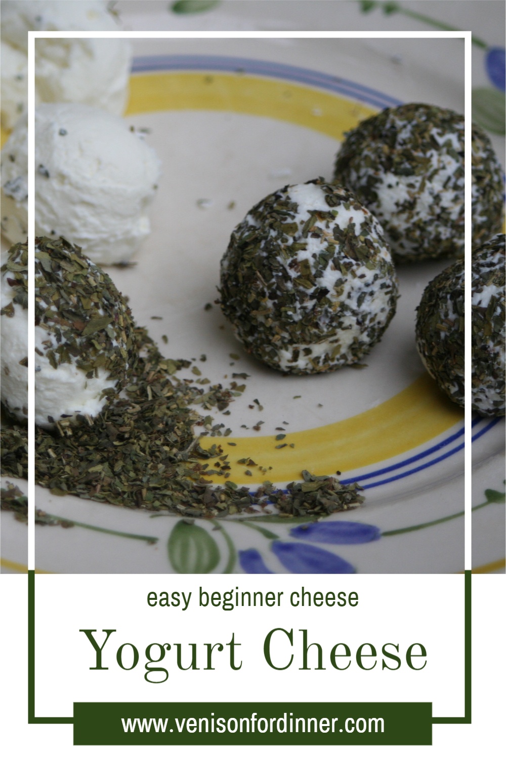 Yogurt Cheese - Venison for Dinner