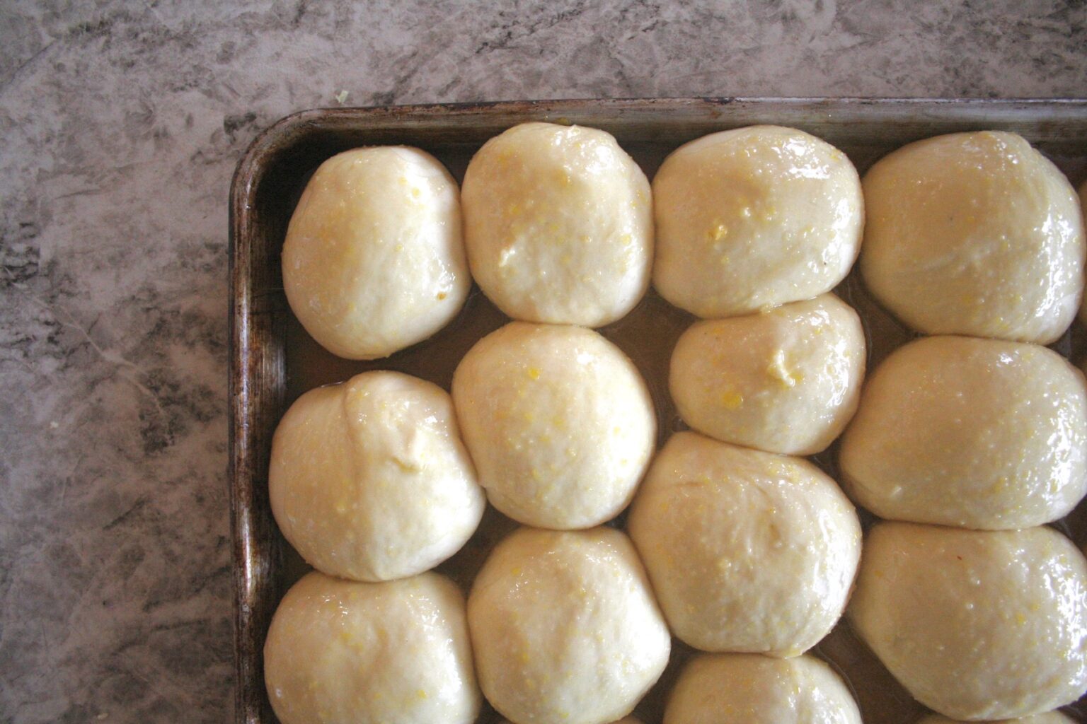 Sourdough Honey Bun Recipe - Venison for Dinner