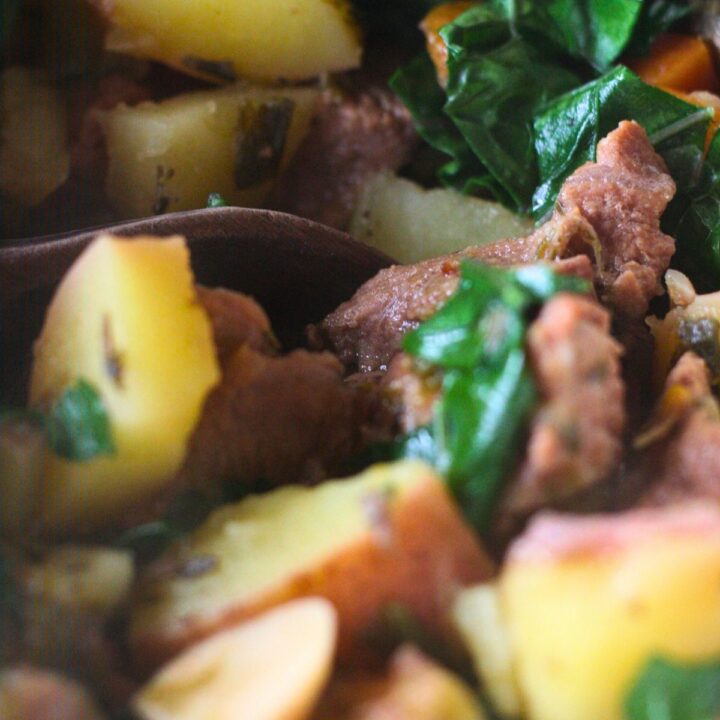 My Favourite Moose Meat Recipes - Venison for Dinner