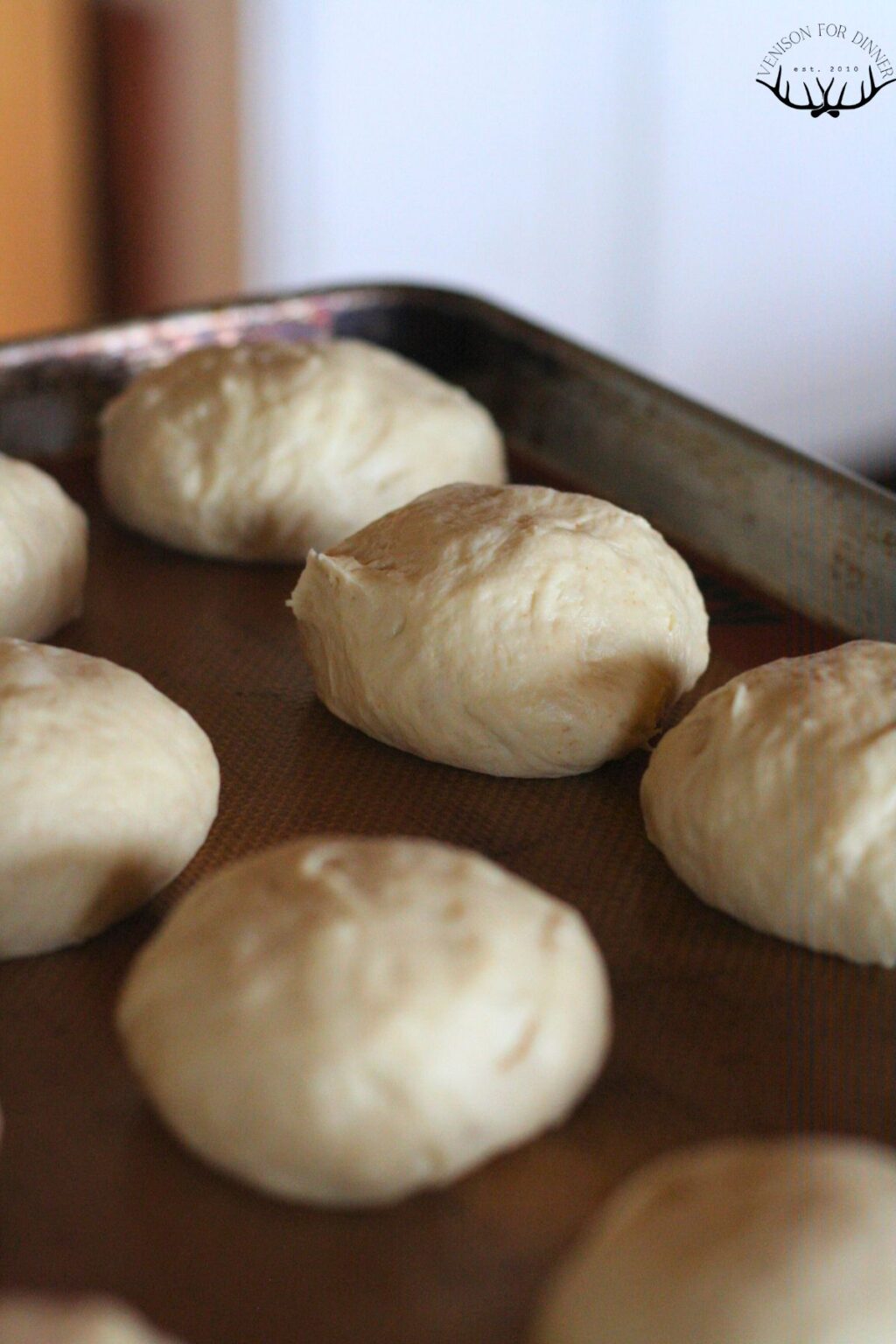 Sourdough Hamburger Buns - Venison for Dinner