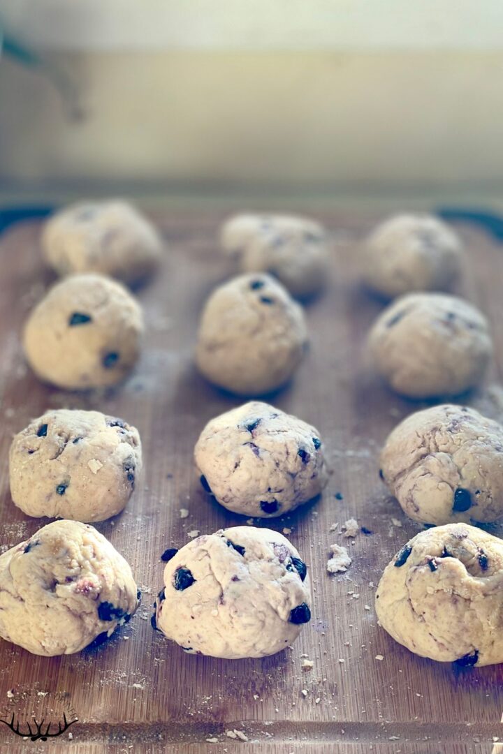 Blueberry Bagels - Venison for Dinner