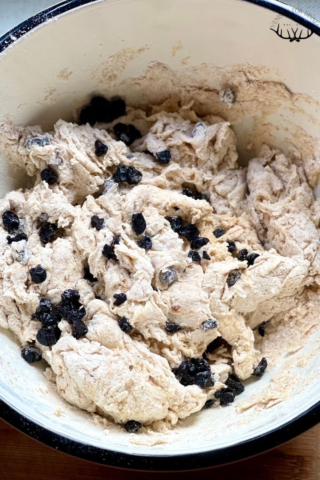 Blueberry Bagels - Venison for Dinner