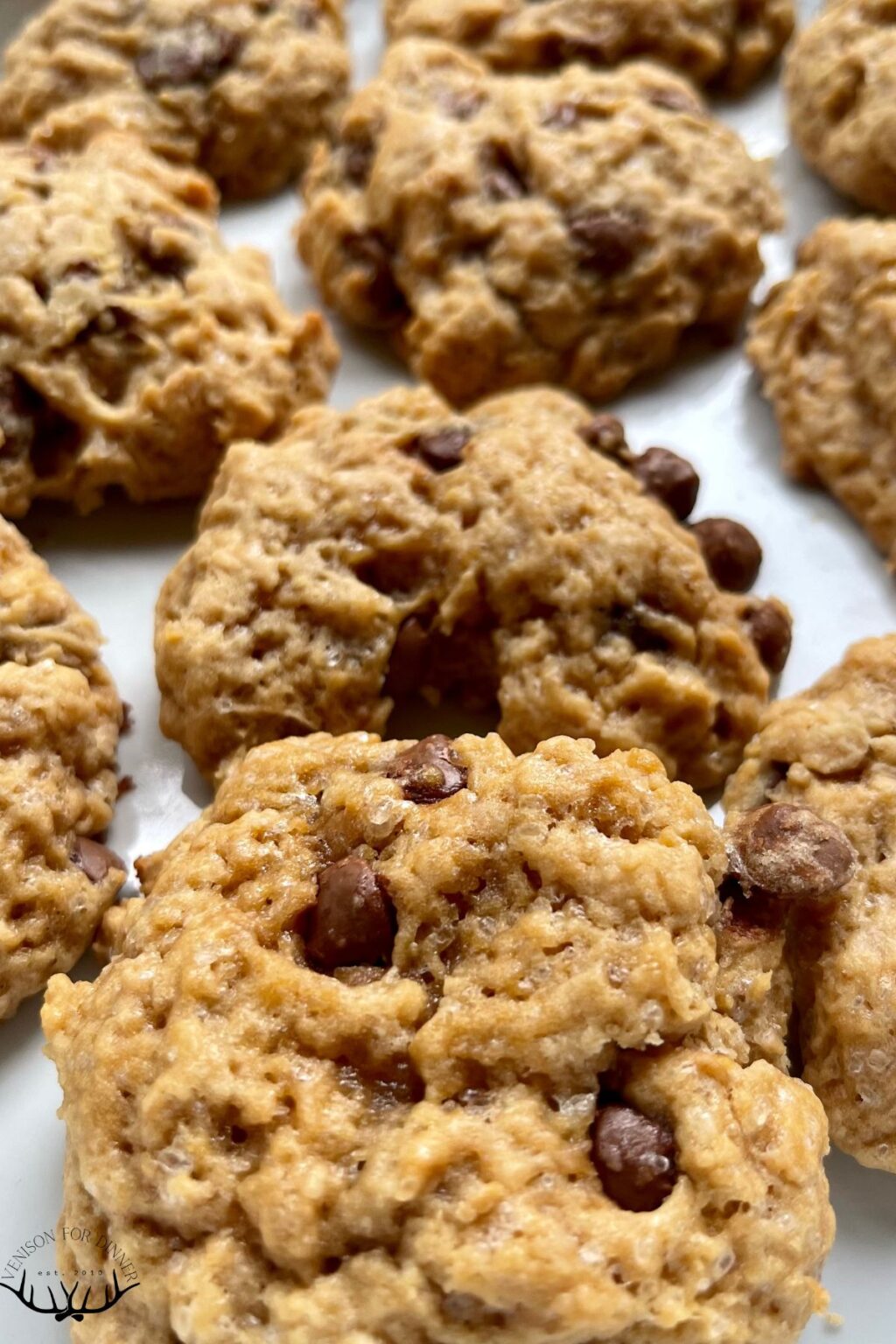 Bacon Fat Chocolate Chip Cookies - Venison for Dinner