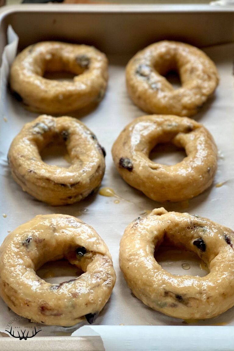 Blueberry Bagels - Venison for Dinner