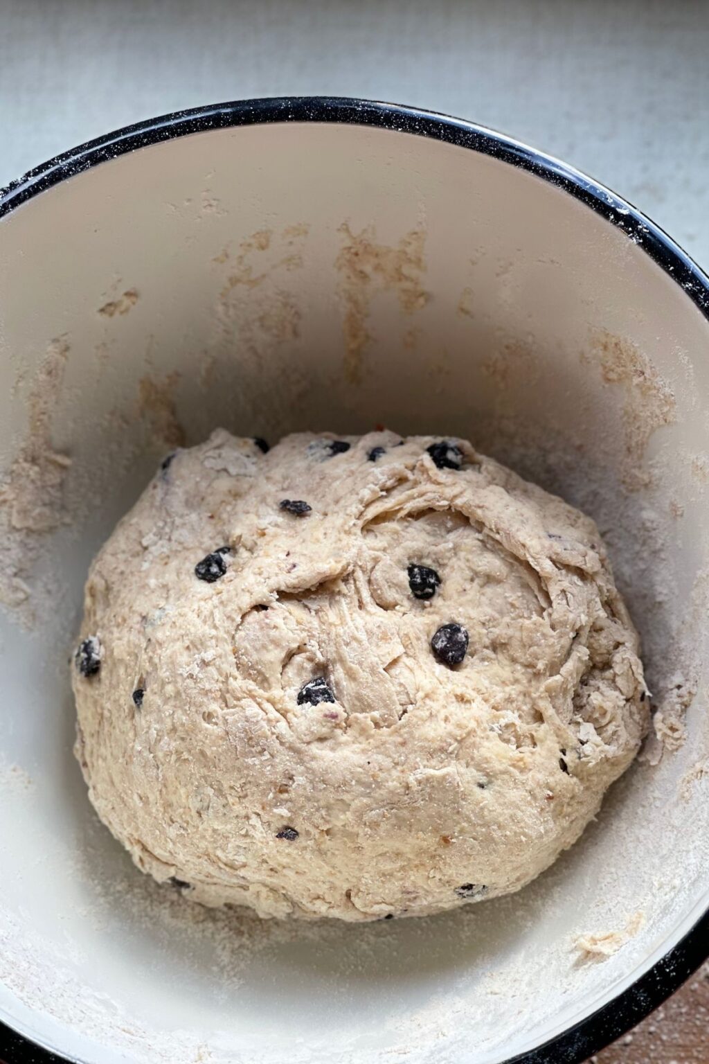 Blueberry Bagels - Venison for Dinner
