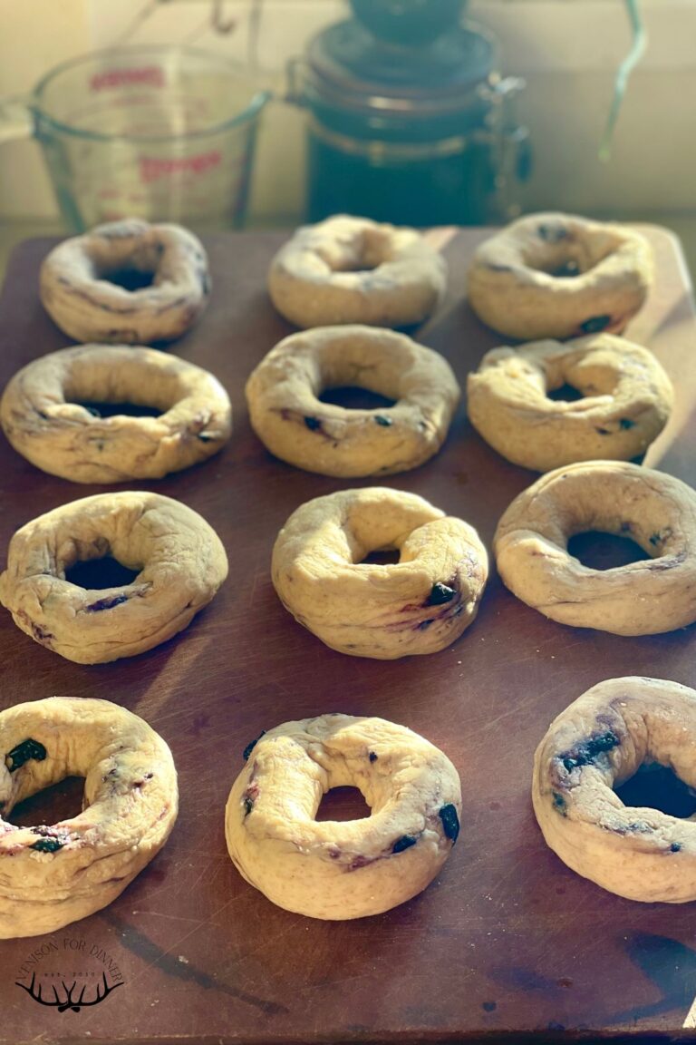 Blueberry Bagels - Venison for Dinner