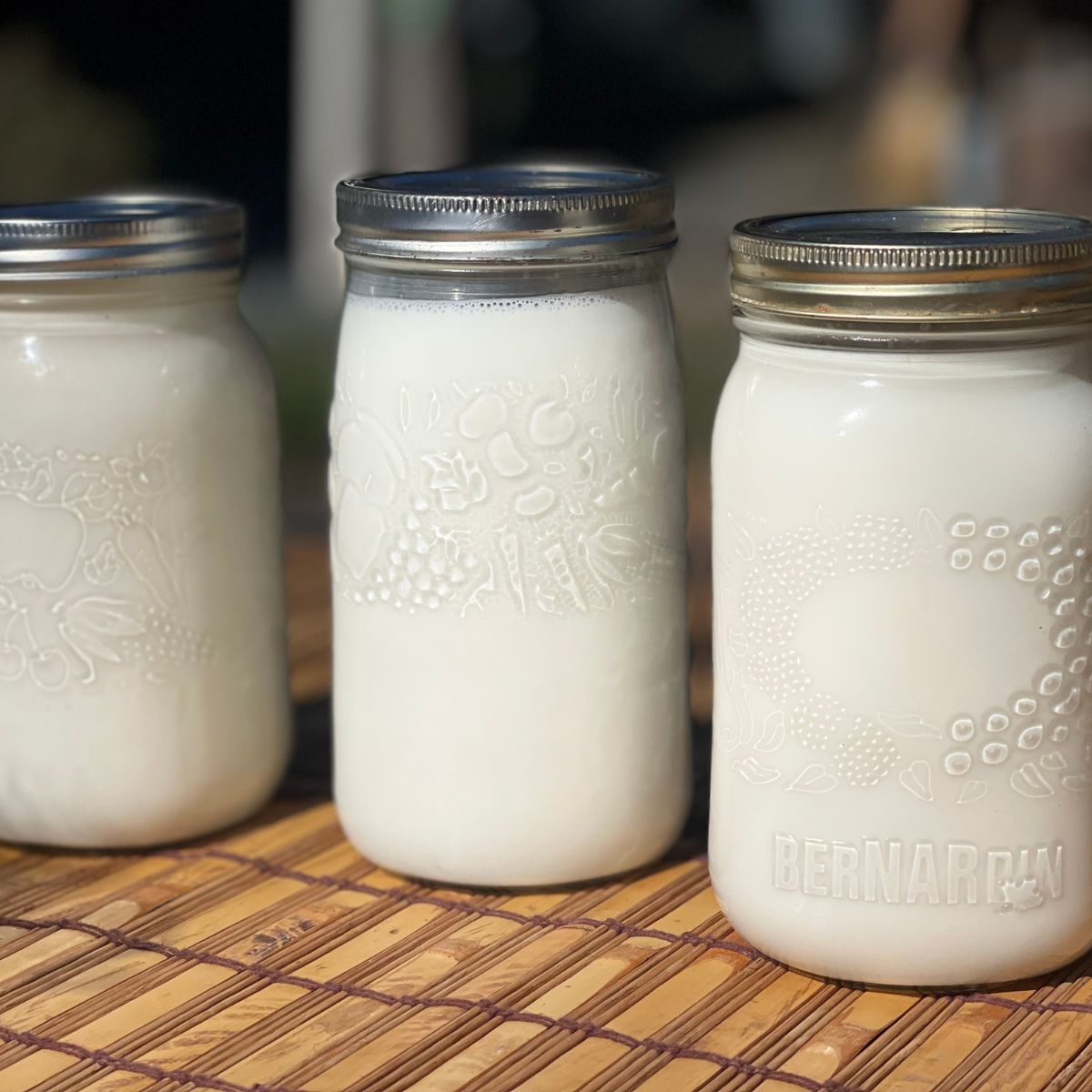 Best Yogurt Starter Culture - Venison for Dinner