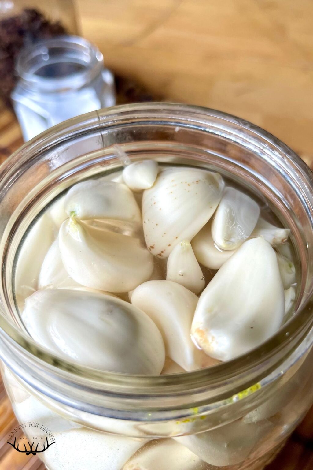 Fermented Garlic - Venison for Dinner