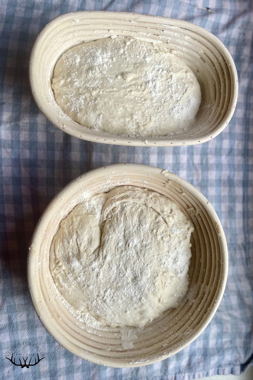 Dutch Oven Campfire Artisan Bread - Venison for Dinner
