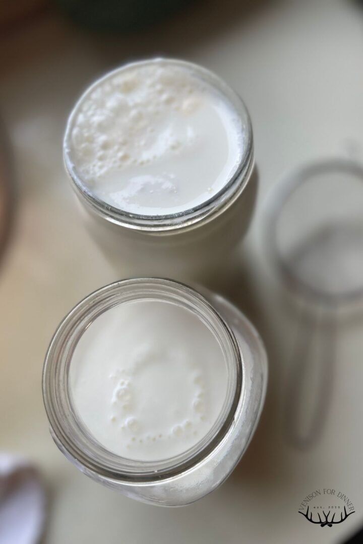 Milk Kefir - Venison for Dinner
