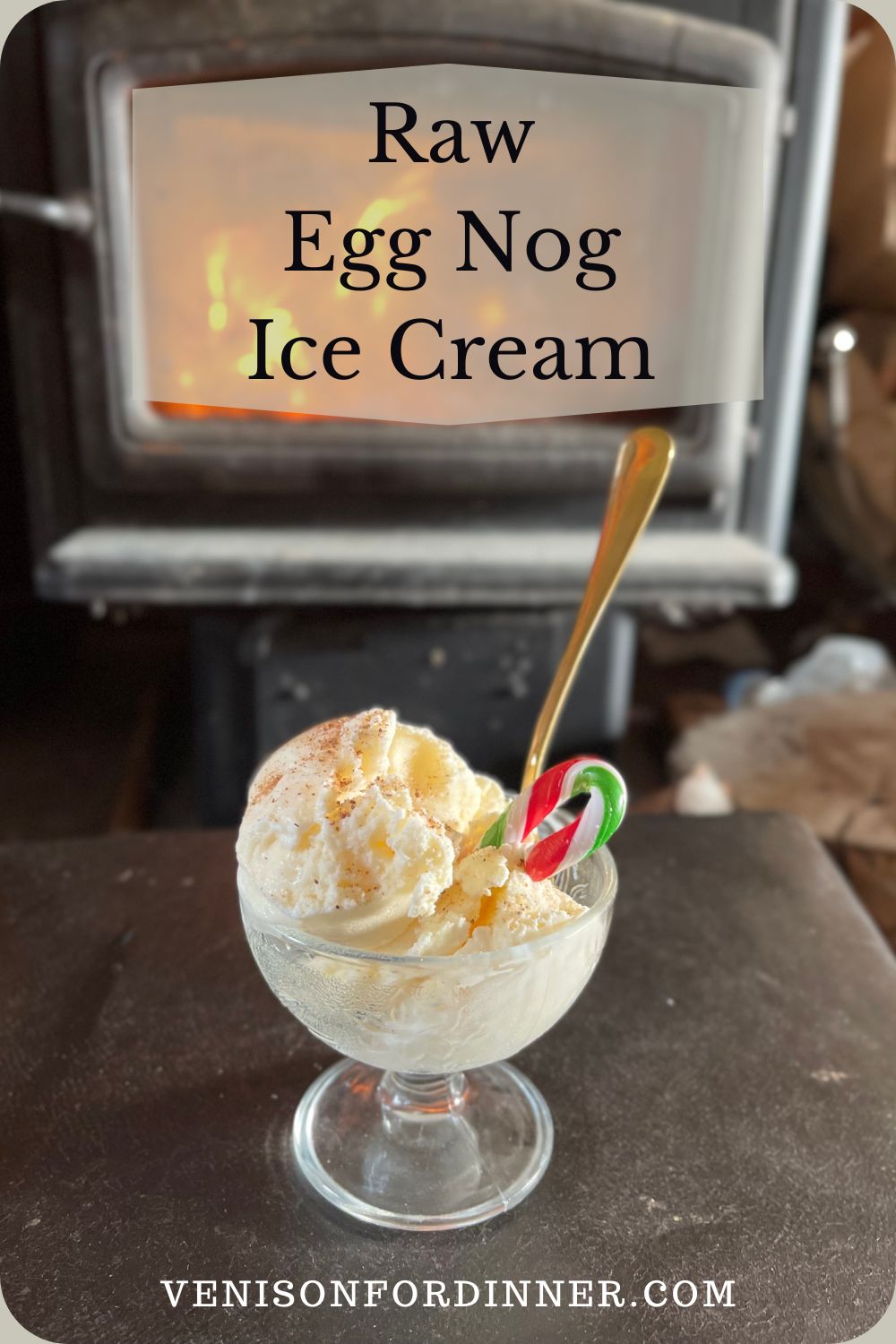 Egg Nog Ice Cream - Venison for Dinner