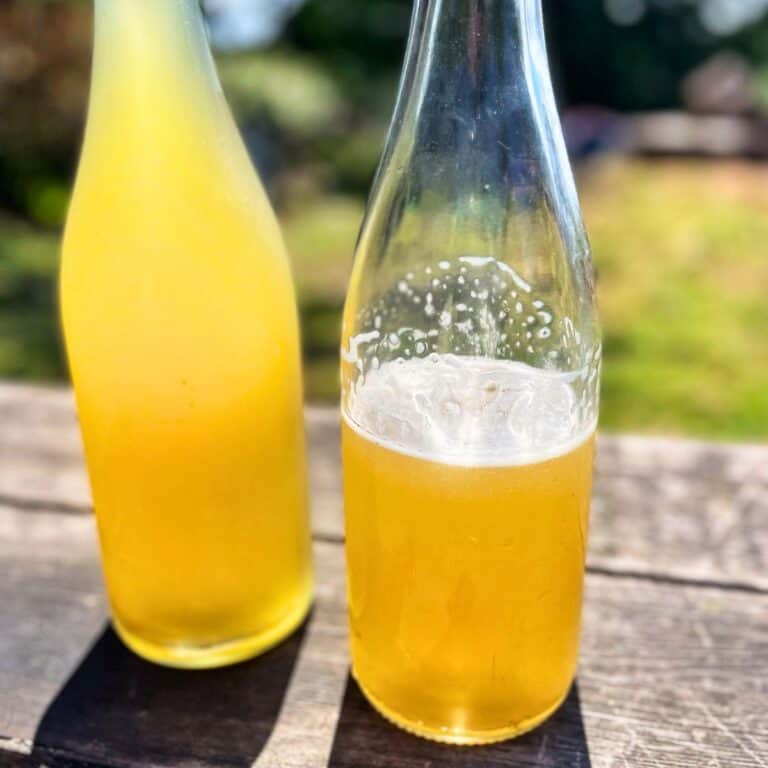 Ginger Beer Made with Ginger Bug - Venison for Dinner