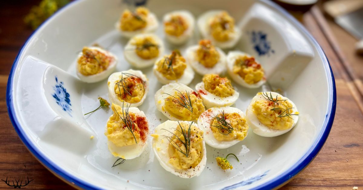 Angel Eggs - Venison for Dinner